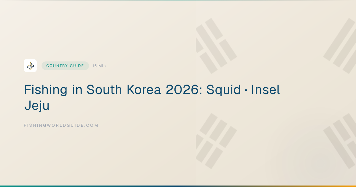 Fishing in South Korea 2026: Squid · Insel Jeju